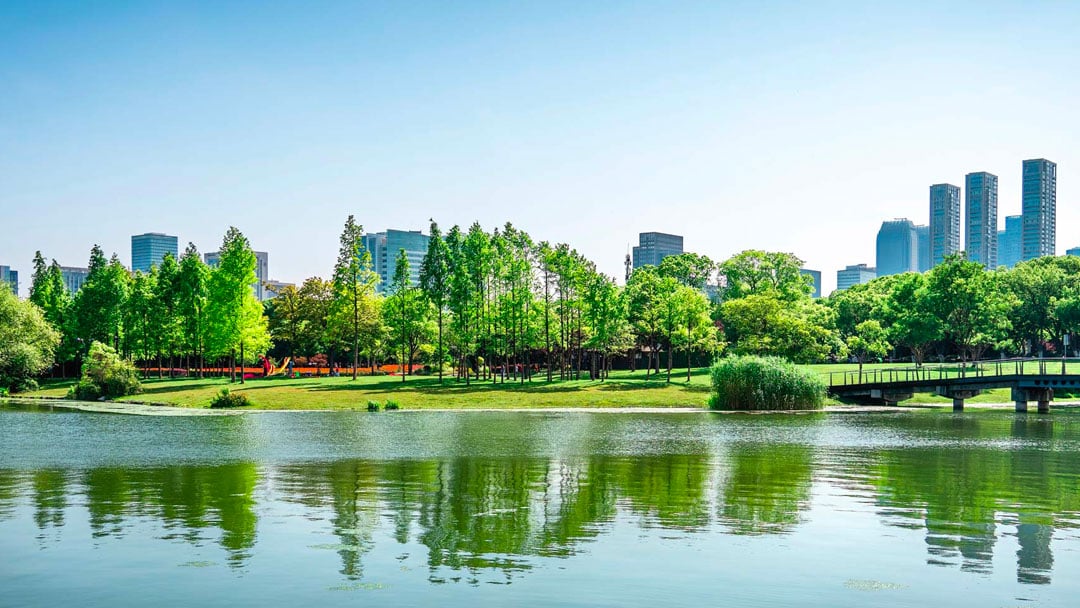 Avvale | Partners | SAP